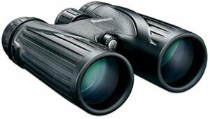Safari Binoculars Review | Zoom-in on Wildlife